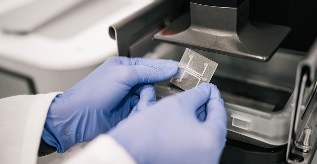 UP News - University of Potsdam