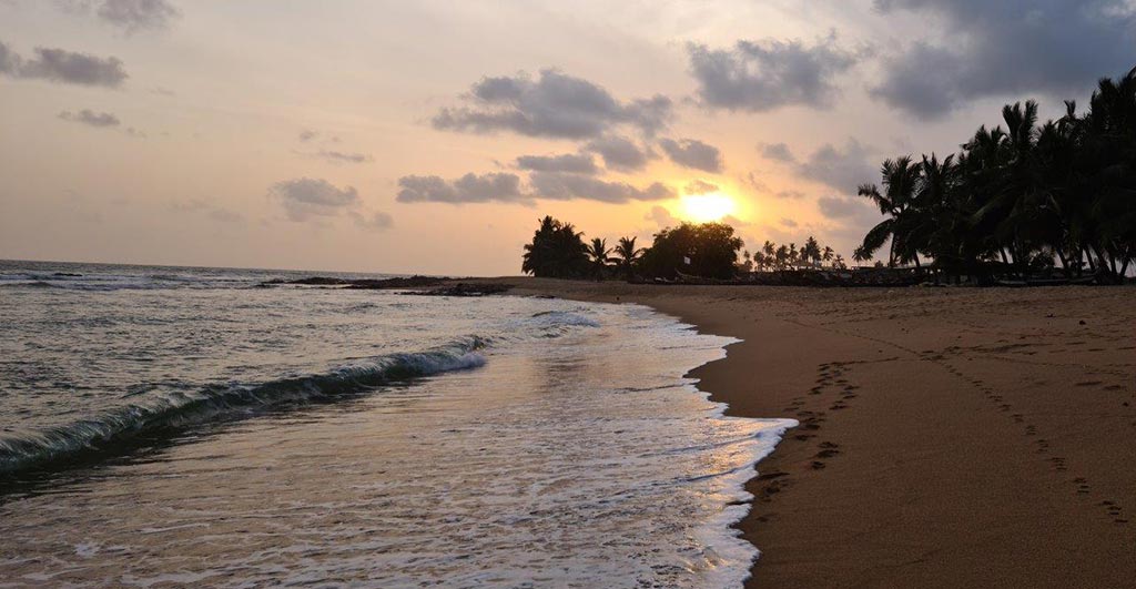 UP News - University of Potsdam